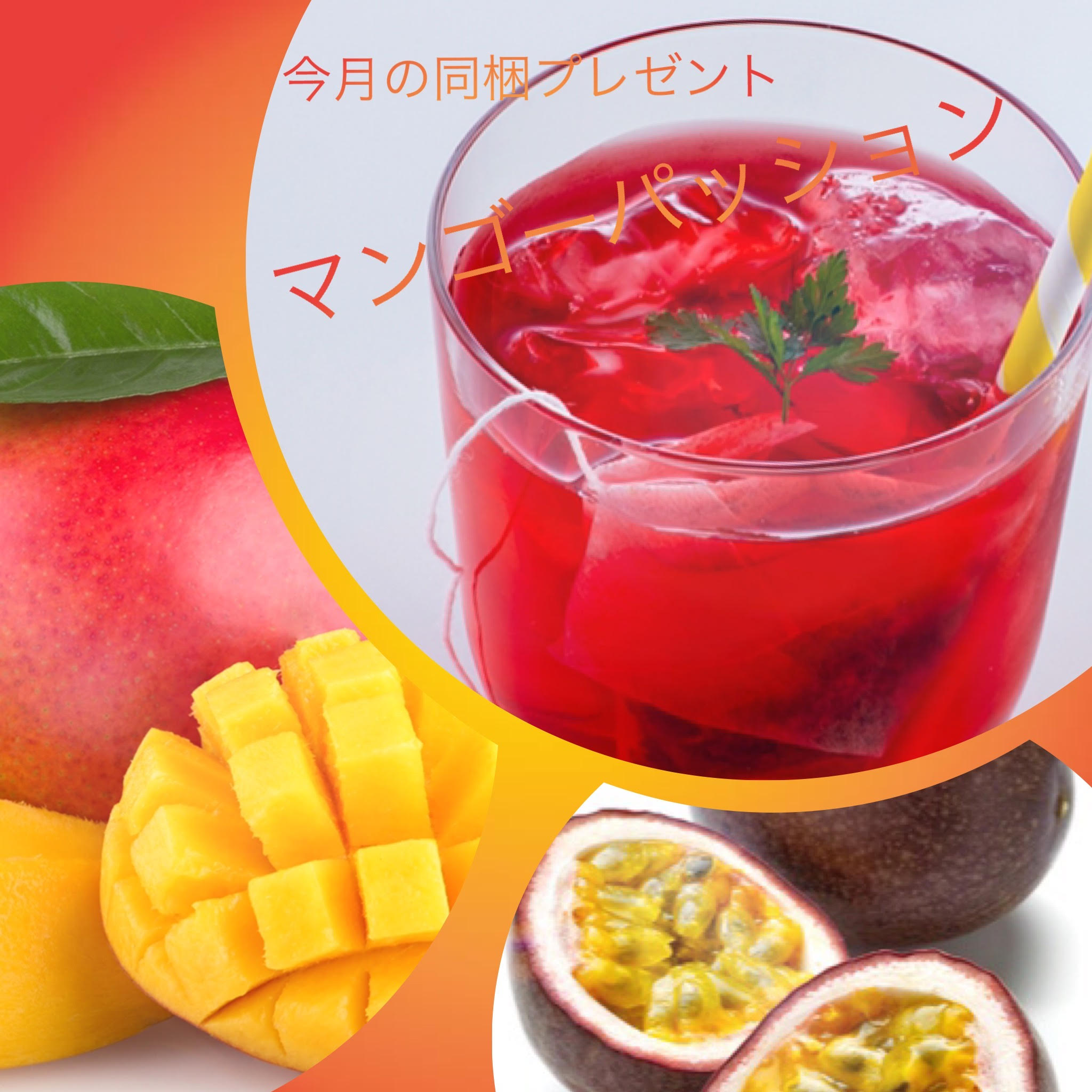 mango-p-sample | 霧ト晴レLife